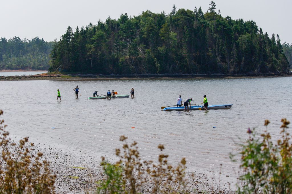 2024 Red Island Regatta Results and Photos – Rowing PEI
